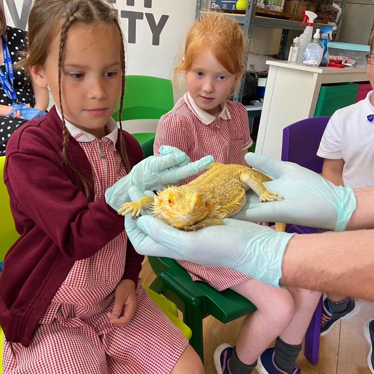 Woodlands Park Primary School - Year 2 Dartmoor Zoo Trip